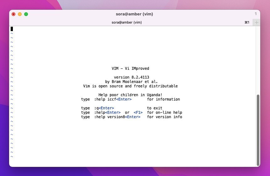 Vimを4週間で使えるようになるための「How To Learn Vim: A Four Week Plan」 | ソフトアンテナ