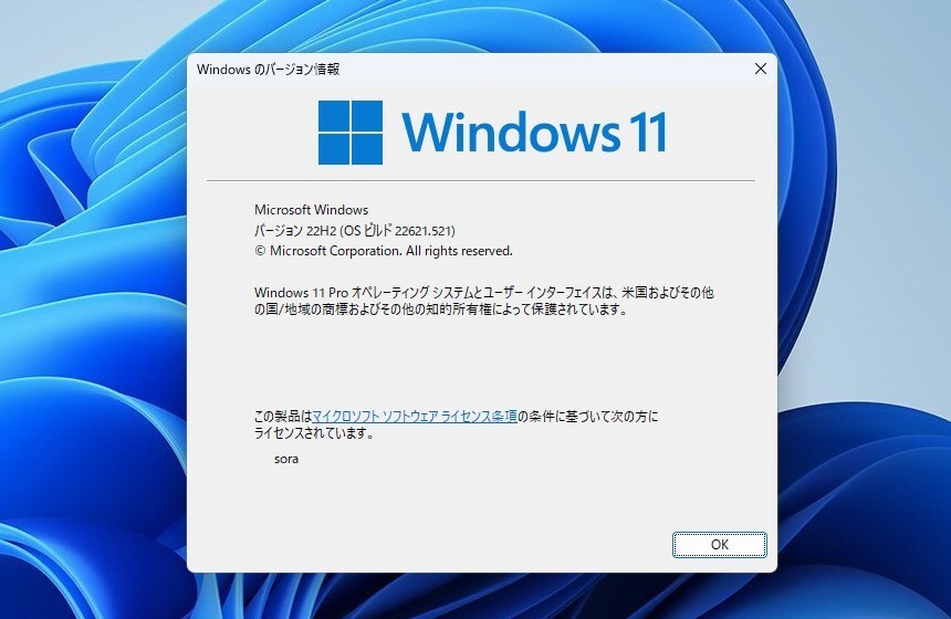 Windows 11 Version 22H2のインストールUSBメディアを作成する方法 | ソフトアンテナ