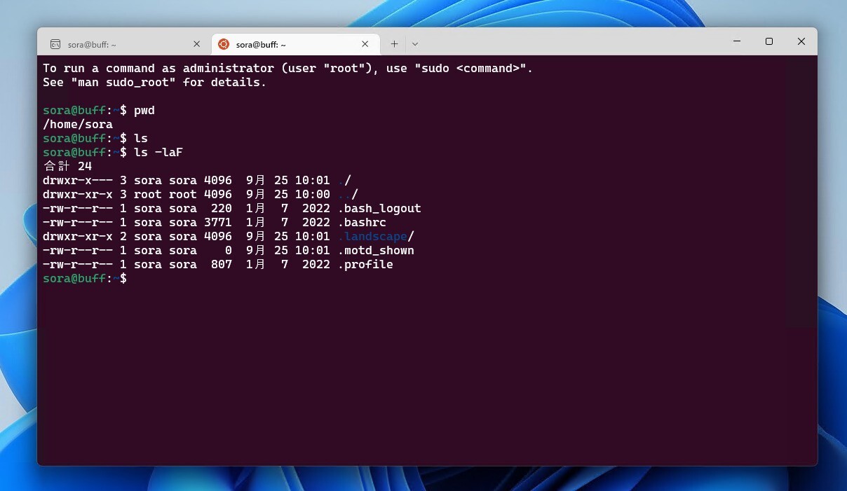 WSL2のデータファイルの場所を確認する方法 | ソフトアンテナ